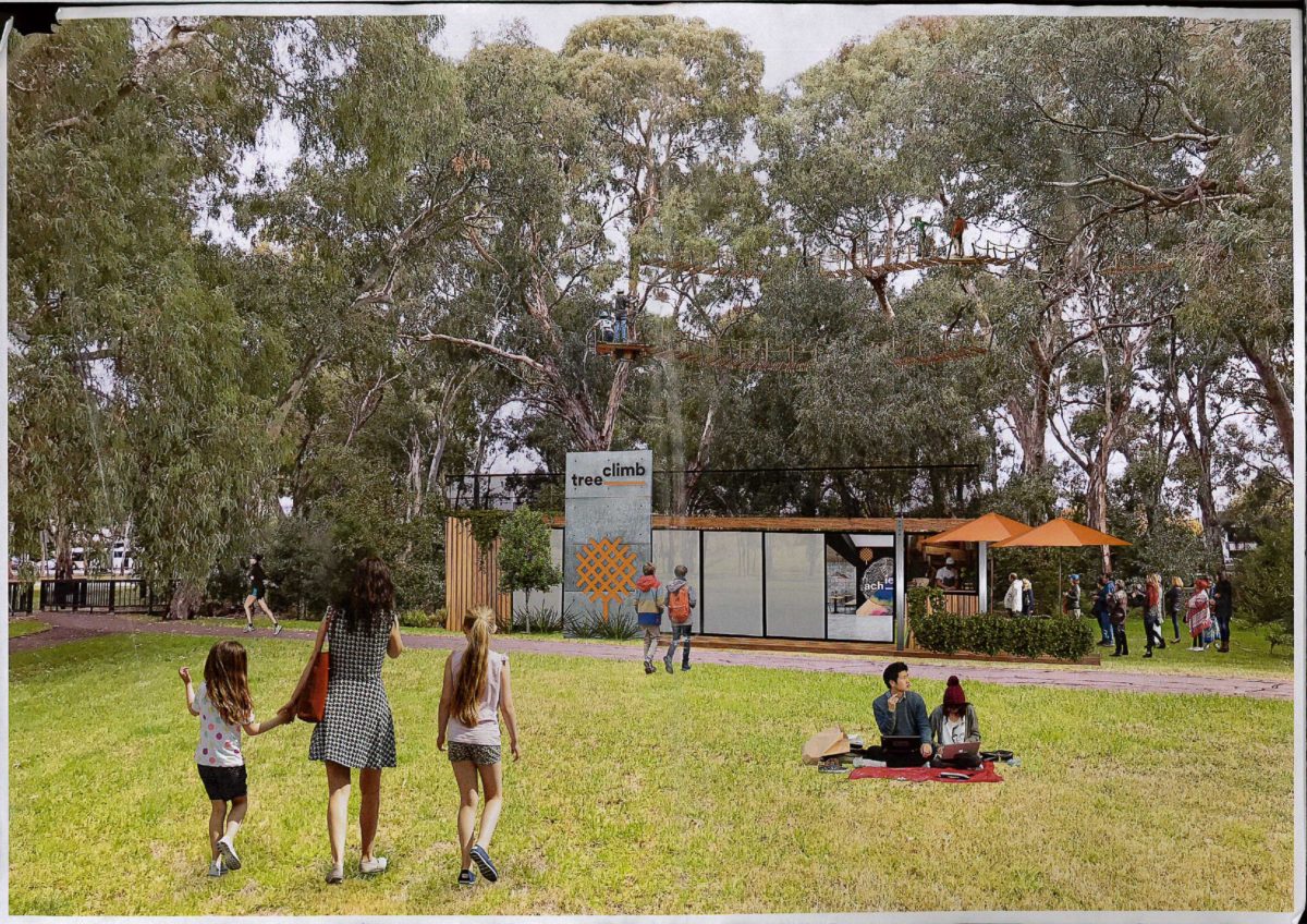 Tree Climb Adelaide: New Heights - KIDDO Mag