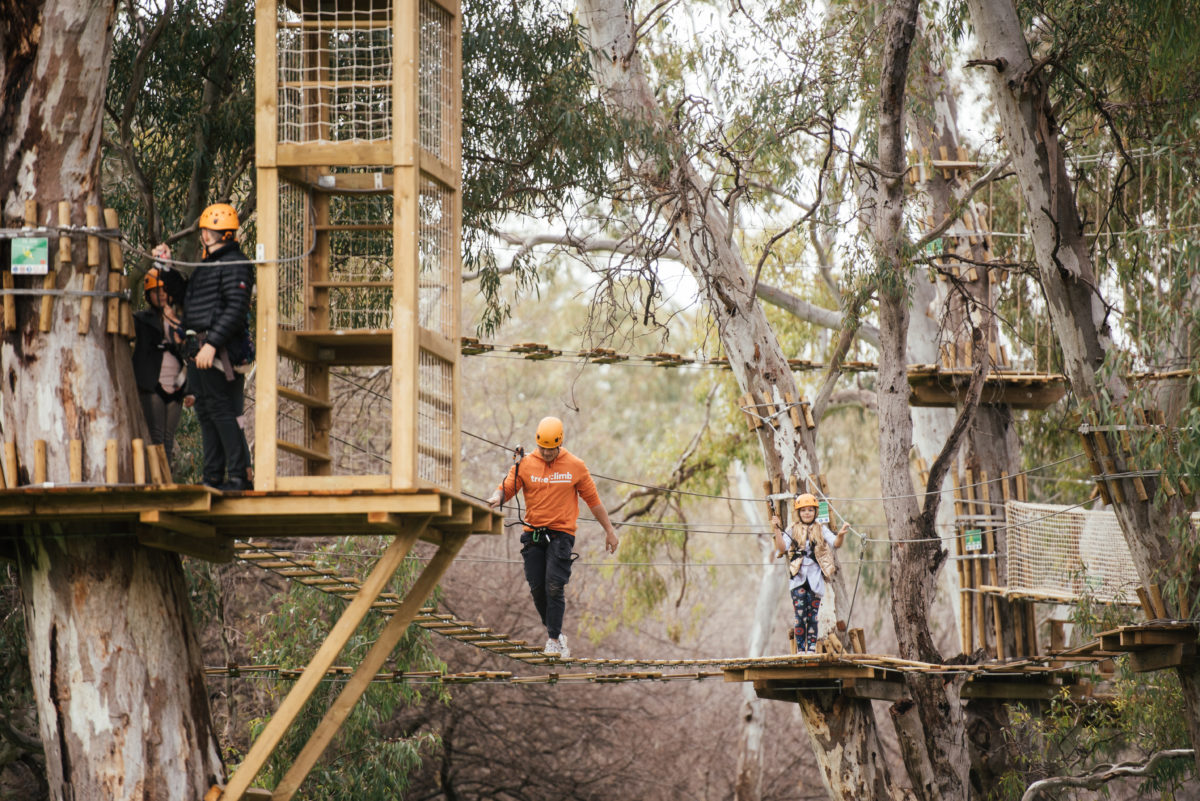 Adelaide TreeClimb: The Wait is Over! - KIDDO Mag