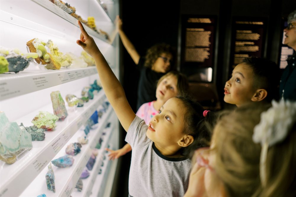 Marvel In The Wonder Of 165 Never-before-seen Objects As The SA Museum ...